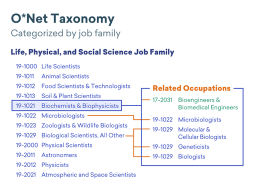 O*NET Skills & Lightcast Skills